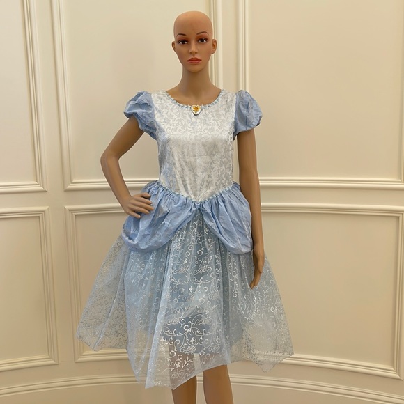 Disney | Costumes | Disney Cinderella Dress | Poshmark